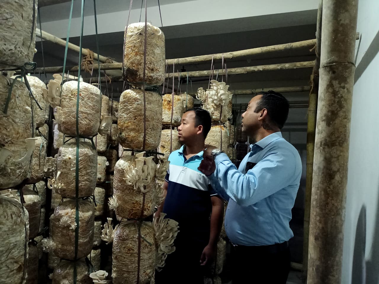 blctfoundation.in - /UploadedFiles/