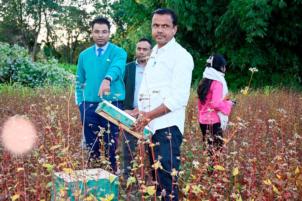 blctfoundation.in - /UploadedFiles/